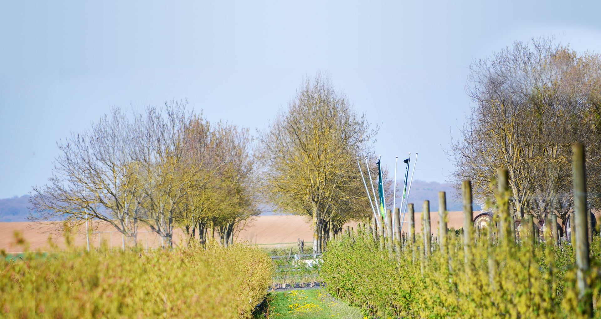 Home Bergtheim – Verwaltungsgemeinschaft Bergtheim